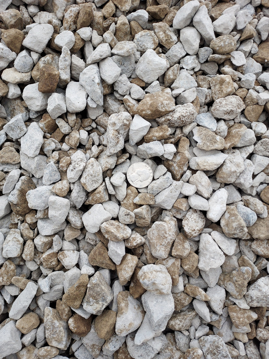 Lodi Farms – Lodi Farms Nursery