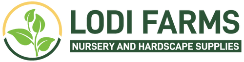 Lodi Farms – Lodi Farms Nursery